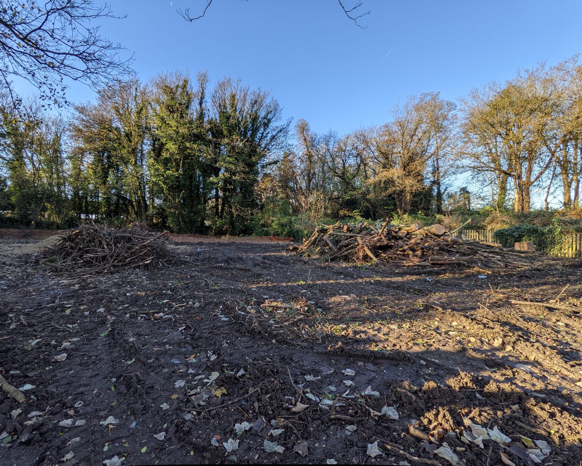 Friends of Latton Island